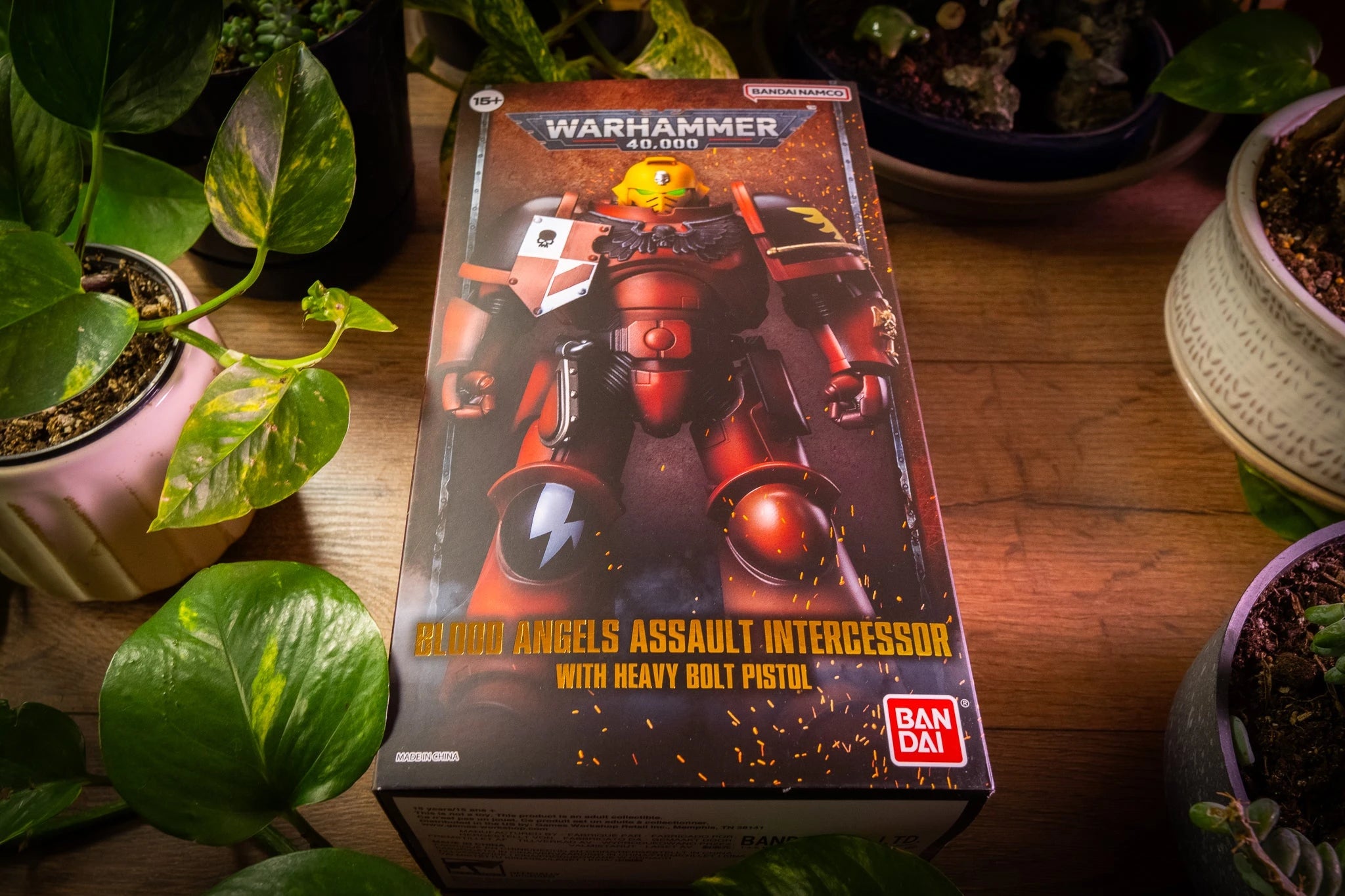 Blood Angels Collection – Hammer of War